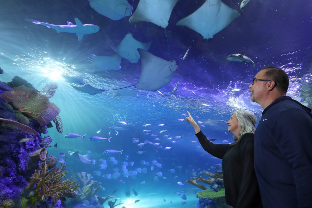 Insider Spring Break Tips Straight from Branson Locals!